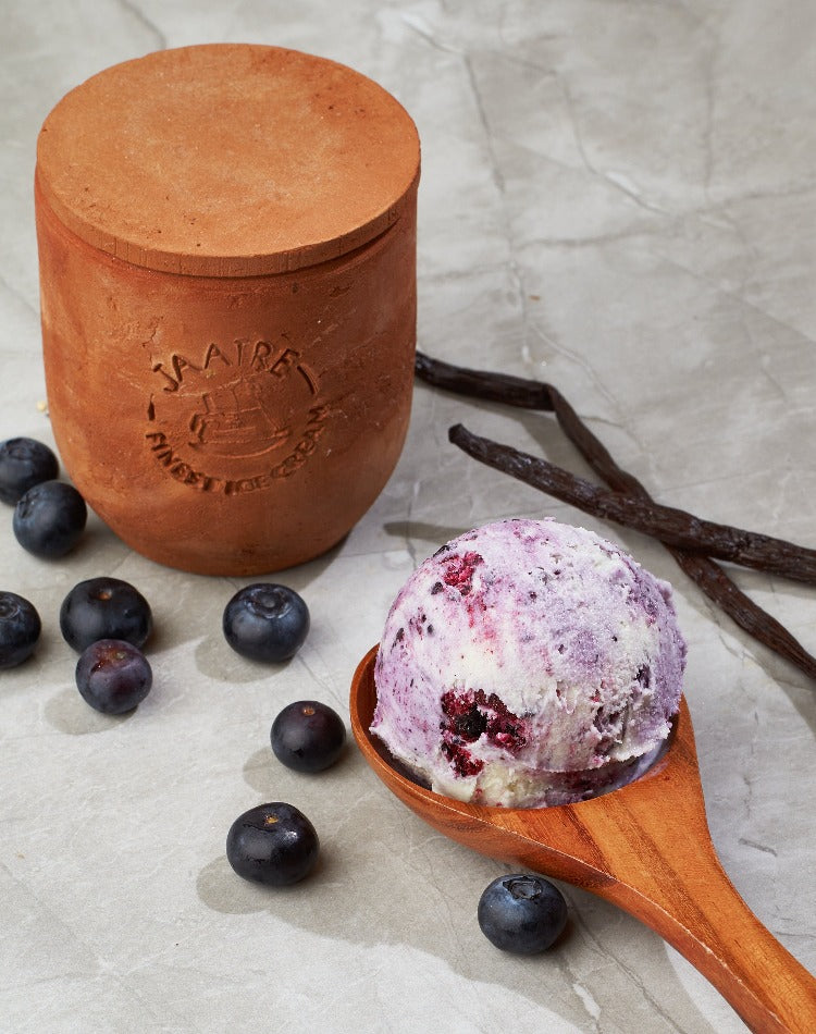 Vanilla Blueberry – Jaatre The Finest Ice Cream